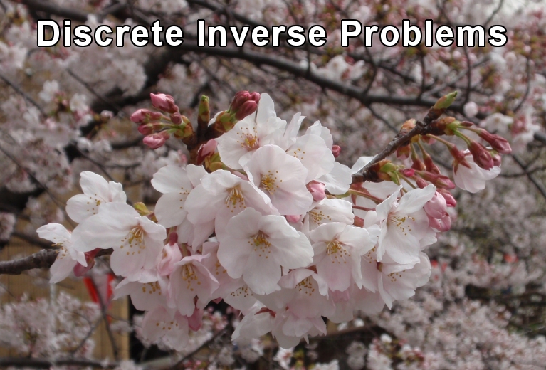 Discrete Inverse Problems